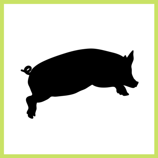 Inve België NV | Boar Vital