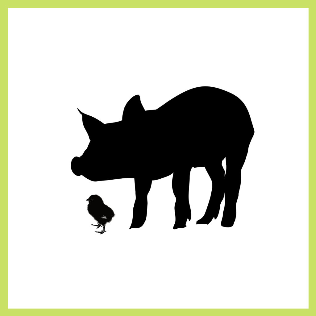 Inve België NV | AlphaSoy